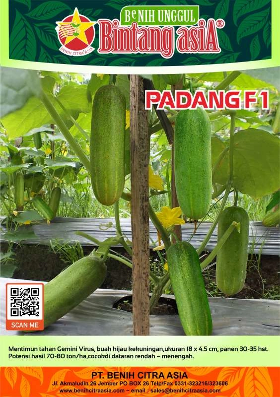 PADANG F1 - PT ELANG MANDIRI GROUP