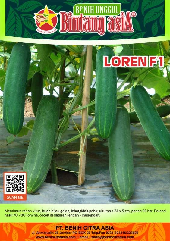 LOREN F1 - PT ELANG MANDIRI GROUP